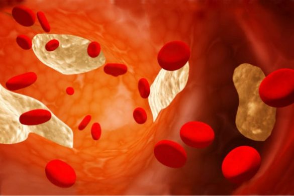 La composición del sebo humano es exclusiva - Oushia