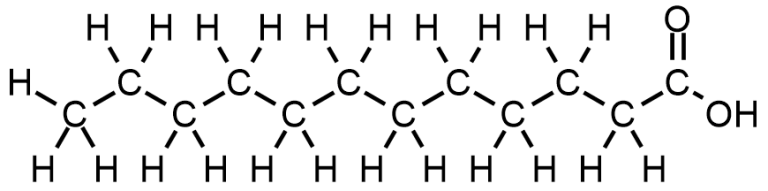 Cómo entender la química de las grasas y los aceites - Oushia