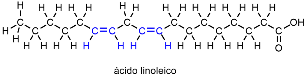 Los aceites vegetales ¿son todos beneficiosos para la piel?