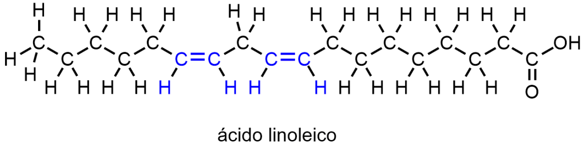 Los aceites vegetales ¿son todos beneficiosos para la piel?
