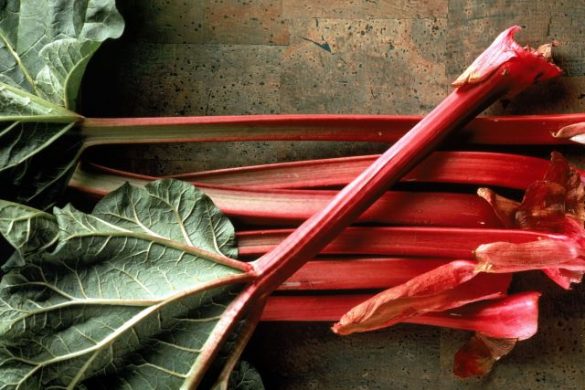 Filagrina, la proteína que proporciona la hidratación de la piel