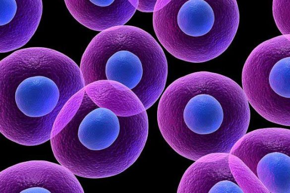 Productos naturales y sintéticos | Aprende la diferencia | Oushia