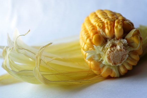 La queratina, descubre todas sus funciones -Oushia-