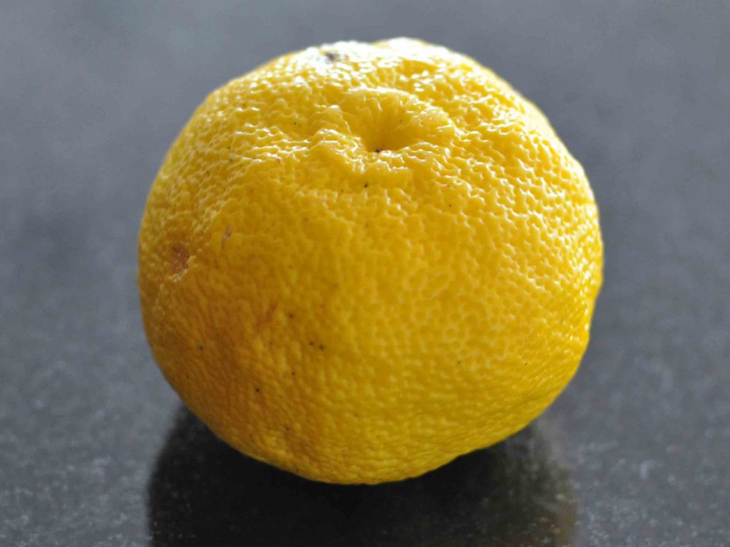Yuzu, propiedades cosméticas de su aceite esencial - Oushia