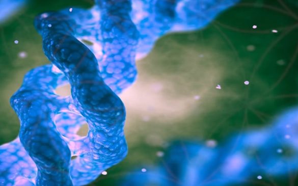 La queratina, descubre todas sus funciones -Oushia-