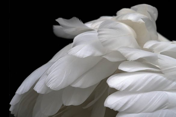 La composición del sebo humano es exclusiva - Oushia