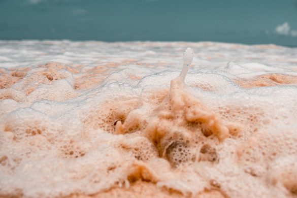 La queratina de la piel, descubre todas sus funciones -Oushia-